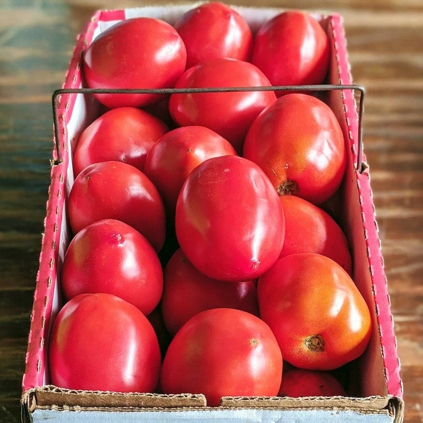 Bulk Tomatoes | Heron Hill Farm